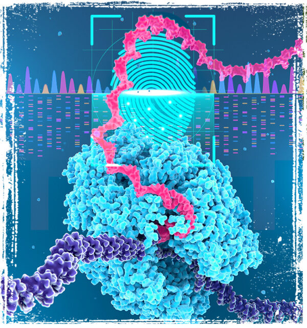 Transcriptome Home - Transcriptome Profiling