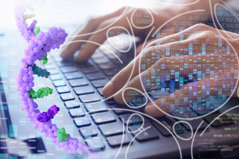Targeted Bioinformatics Analysis Transcriptome Profiling